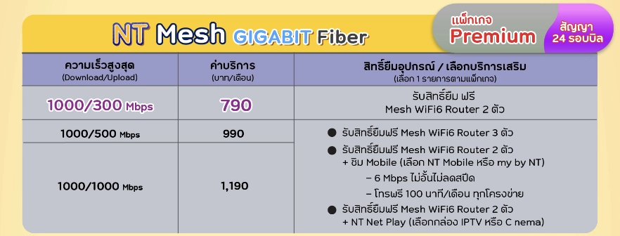 เน็ตบ้านตัวแรง NT Mesh GIGABIT Fibe เริ่มต้น 590 บาท/เดือน* | ปันโปร - Punpromotion
